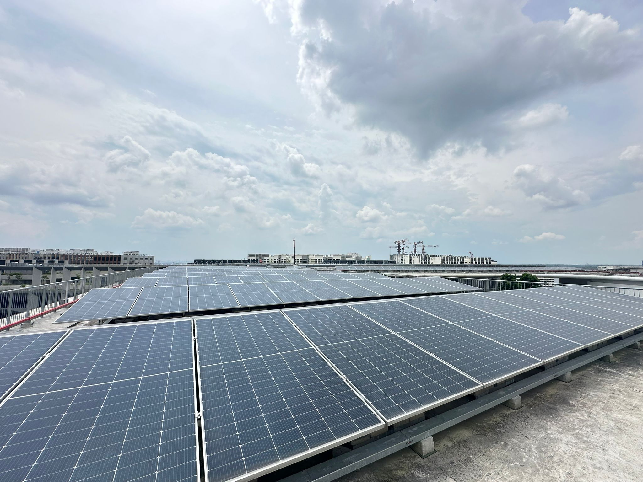 WhatsApp Image 2024-08-07 at 5.18.02 PM.jpeg